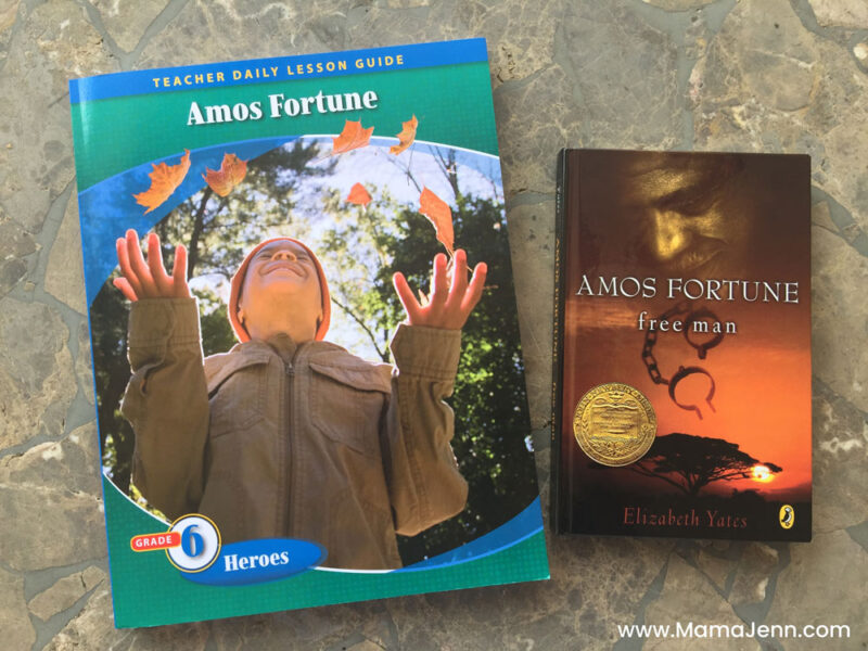 Literature-based Language Arts Curriculum (with thematic unit studies)
