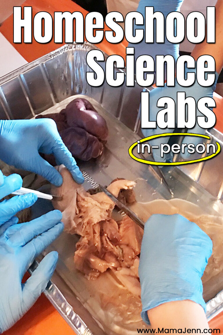 Homeschool Science Labs - Get a Year of Experiments Done in 2 Days!