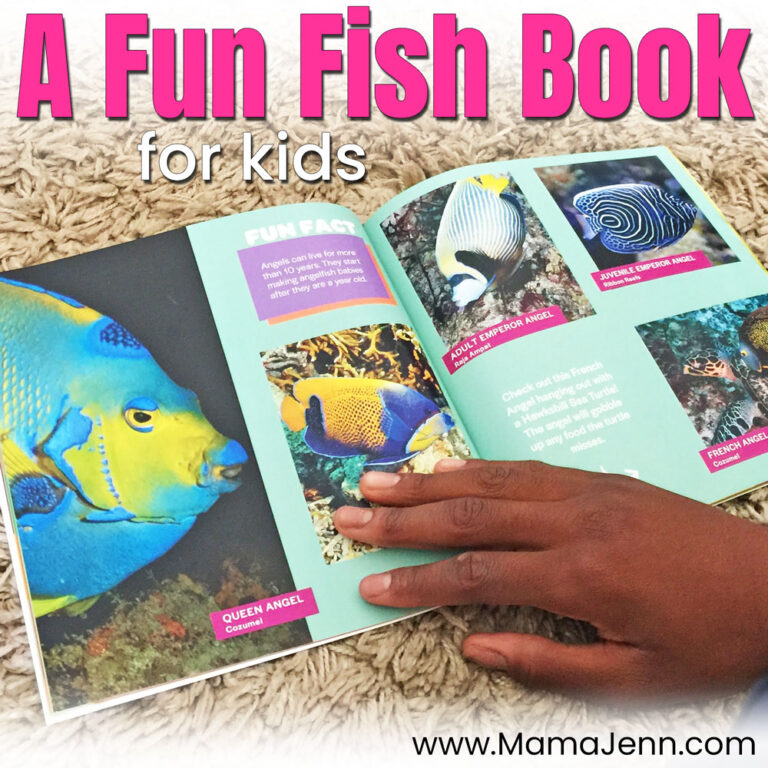 More Fish Faces: A Fun Fish Book for Kids
