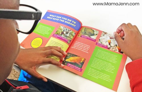 More Fish Faces: A Fun Fish Book for Kids